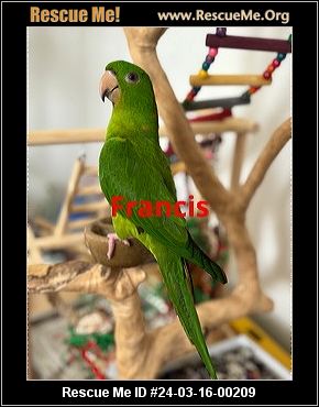 - Pennsylvania Pet Bird Rescue - ADOPTIONS - Rescue Me!