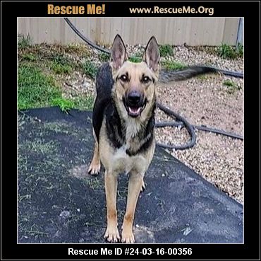 - Pennsylvania Dog Rescue - ADOPTIONS - Rescue Me!