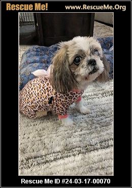 - Delaware Dog Rescue - ADOPTIONS - Rescue Me!