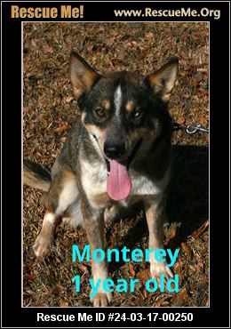 - Alabama Dog Rescue - ADOPTIONS - Rescue Me!