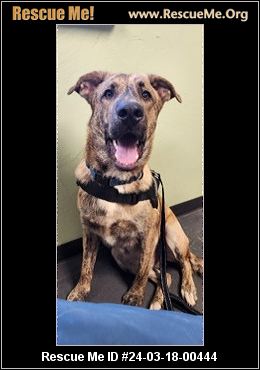 - Oklahoma Dog Rescue - ADOPTIONS - Rescue Me!