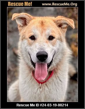 - Oregon Mutt Rescue - ADOPTIONS - Rescue Me!