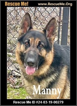 - Pennsylvania German Shepherd Rescue - ADOPTIONS - Rescue Me!