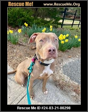 - New Jersey Dog Rescue - ADOPTIONS - Rescue Me!