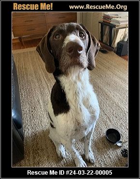 - Oregon Dog Rescue - ADOPTIONS - Rescue Me!