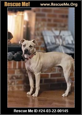 - Nebraska Dog Rescue - ADOPTIONS - Rescue Me!