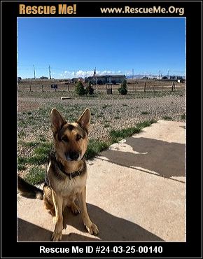 - Arizona Dog Rescue - ADOPTIONS - Rescue Me!