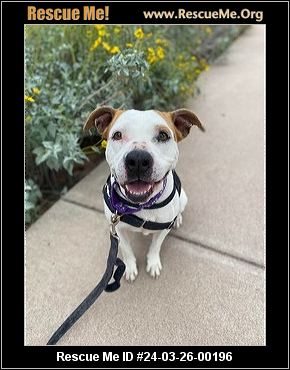 - Arizona Dog Rescue - ADOPTIONS - Rescue Me!