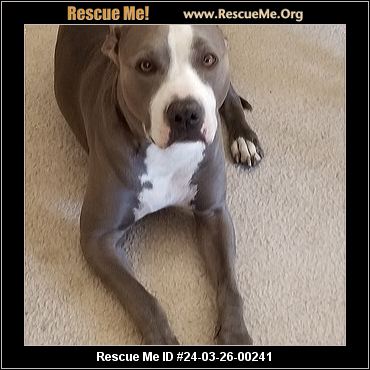 - Alabama Dog Rescue - ADOPTIONS - Rescue Me!