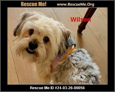 - North Carolina Dog Rescue - ADOPTIONS - Rescue Me!