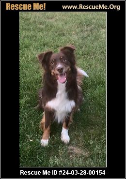 - Nebraska Dog Rescue - ADOPTIONS - Rescue Me!