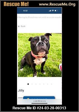 - South Carolina Dog Rescue - ADOPTIONS - Rescue Me!