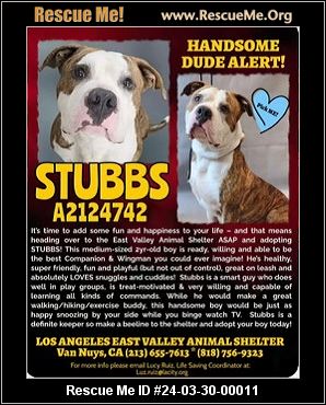 - California American Bulldog Rescue - ADOPTIONS - Rescue Me!