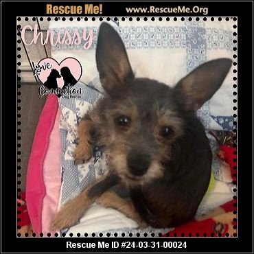 - Arizona Dog Rescue - ADOPTIONS - Rescue Me!