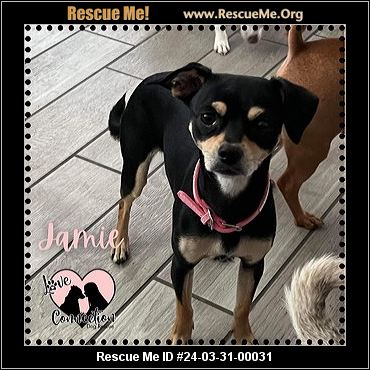 - Arizona Dog Rescue - ADOPTIONS - Rescue Me!
