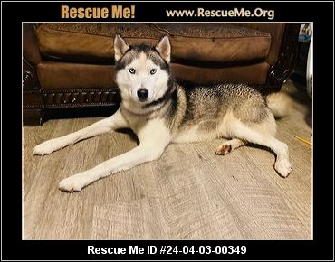 - Mississippi Dog Rescue - ADOPTIONS - Rescue Me!