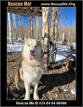 - Utah Dog Rescue - ADOPTIONS - Rescue Me!