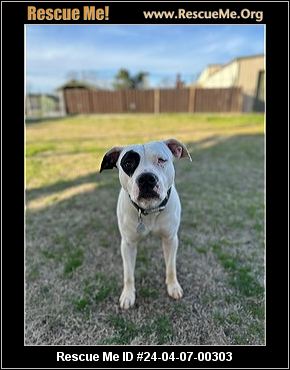 - Georgia Dog Rescue - ADOPTIONS - Rescue Me!