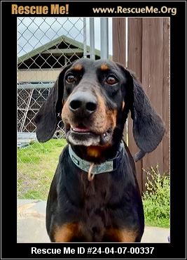 - Georgia Dog Rescue - ADOPTIONS - Rescue Me!