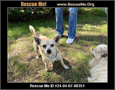 - Georgia Dog Rescue - ADOPTIONS - Rescue Me!
