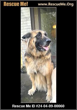 - Oregon Dog Rescue - ADOPTIONS - Rescue Me!