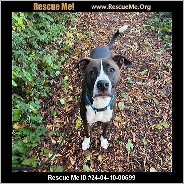 - Oregon Dog Rescue - ADOPTIONS - Rescue Me!