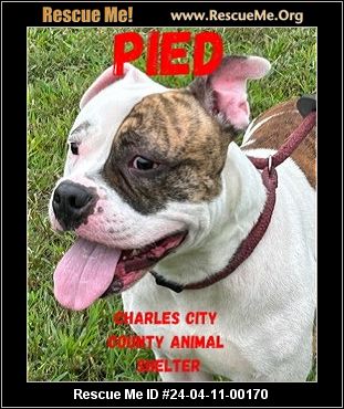 - Virginia Dog Rescue - ADOPTIONS - Rescue Me!