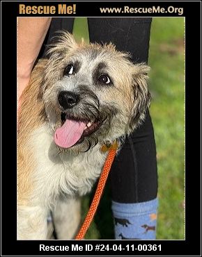 - New Jersey Dog Rescue - ADOPTIONS - Rescue Me!