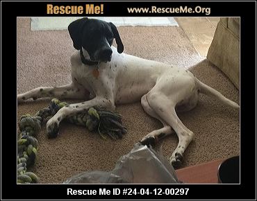 - Kentucky Dog Rescue - ADOPTIONS - Rescue Me!