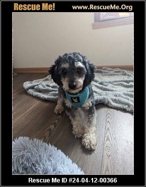 - Wisconsin Dog Rescue - ADOPTIONS - Rescue Me!