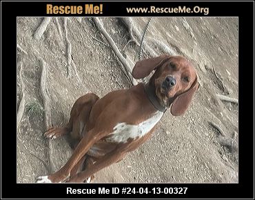 - West Virginia Dog Rescue - ADOPTIONS - Rescue Me!