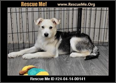 - Delaware Dog Rescue - ADOPTIONS - Rescue Me!