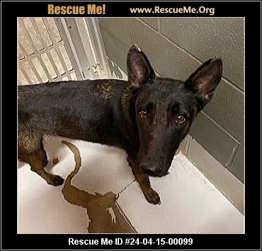 - Texas Mutt Rescue - ADOPTIONS - Rescue Me!