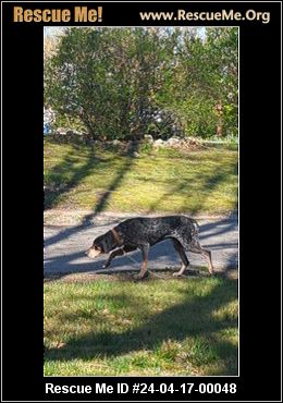 - Indiana Dog Rescue - ADOPTIONS - Rescue Me!