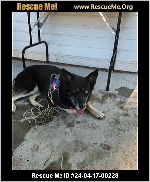 - Nebraska Dog Rescue - ADOPTIONS - Rescue Me!