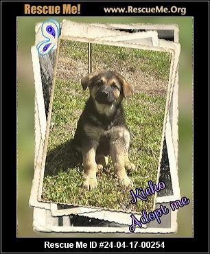 - Oklahoma Dog Rescue - ADOPTIONS - Rescue Me!