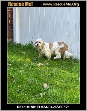 - Pennsylvania Dog Rescue - ADOPTIONS - Rescue Me!