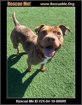 - North Carolina Dog Rescue - ADOPTIONS - Rescue Me!