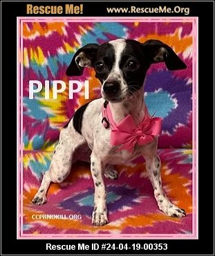 - Texas Mutt Rescue - ADOPTIONS - Rescue Me!