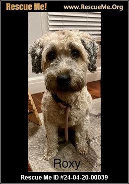 - New York Dog Rescue - ADOPTIONS - Rescue Me!