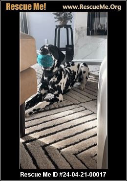 - Maryland Dog Rescue - ADOPTIONS - Rescue Me!