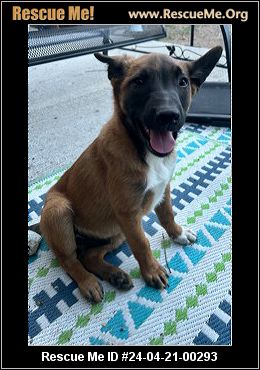 - Oklahoma Dog Rescue - ADOPTIONS - Rescue Me!