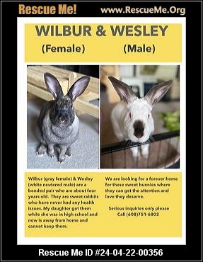 - Wisconsin Rabbit Rescue - ADOPTIONS - Rescue Me!