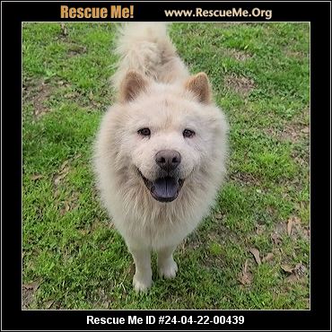 - Texas Dog Rescue - ADOPTIONS - Rescue Me!