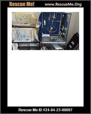 - Pennsylvania Pet Bird Rescue - ADOPTIONS - Rescue Me!