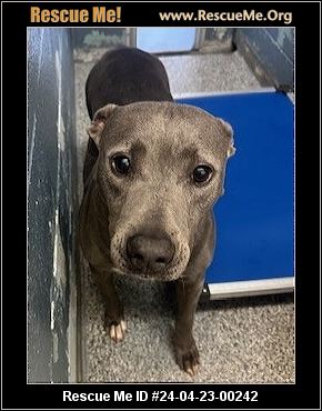 - Oklahoma Dog Rescue - ADOPTIONS - Rescue Me!