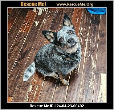 - Nebraska Dog Rescue - ADOPTIONS - Rescue Me!