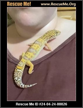 - Oregon Reptile/Amphibian Rescue - ADOPTIONS - Rescue Me!