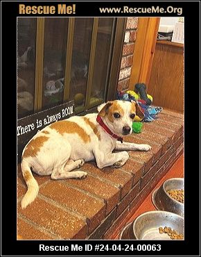 - Massachusetts Mutt Rescue - ADOPTIONS - Rescue Me!