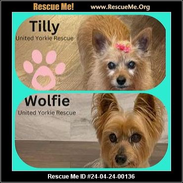 - Texas Dog Rescue - ADOPTIONS - Rescue Me!